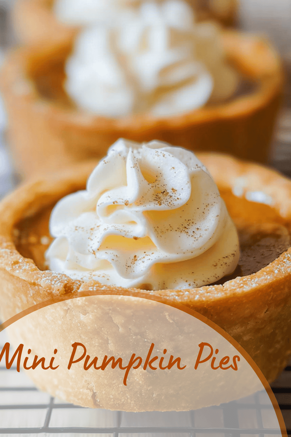 Mini Pumpkin Pies Recipes For Easy Fall Desserts 2024